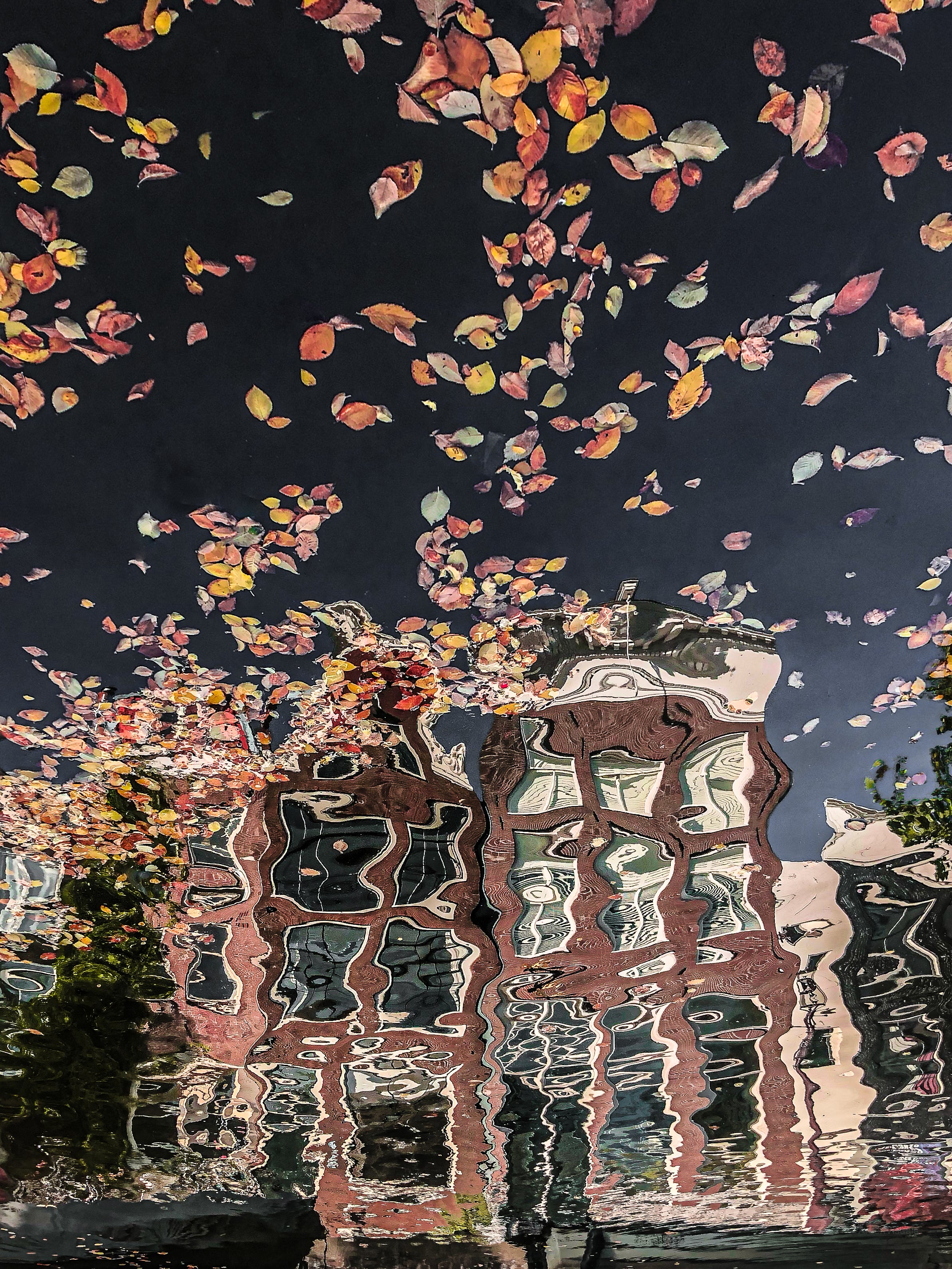 Amsterdam Amsterception Collection – Arden Art Gallery