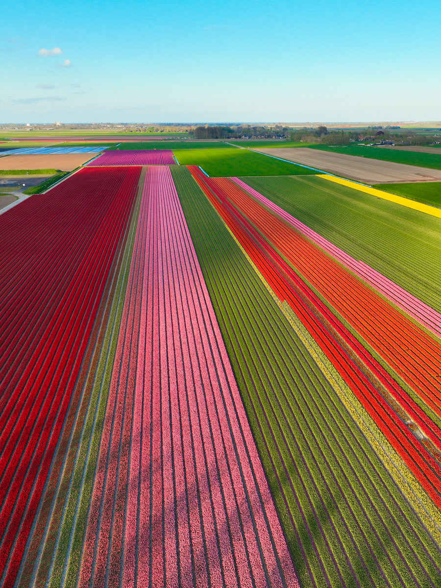 Products – Arden Art Gallery