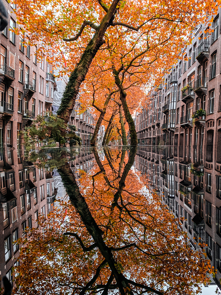 Products – Arden Art Gallery